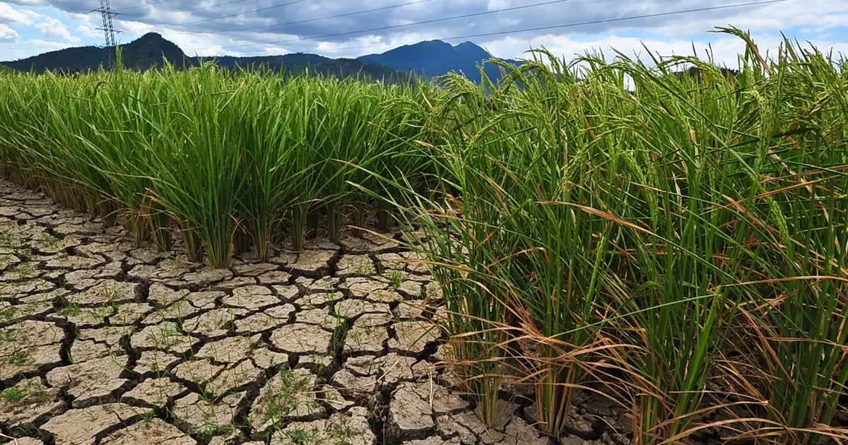 UNCCD 15th session of the Conference of the Parties - Events at Global ...